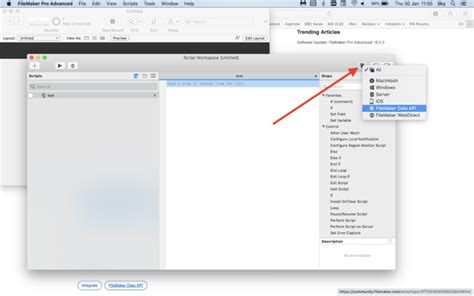 Filemaker Scripts And The Filemaker Data Api Compatability