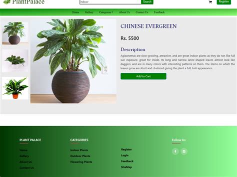 E Commerce Website With The Help Of Html Css Bootstrap Angular Etc Upwork