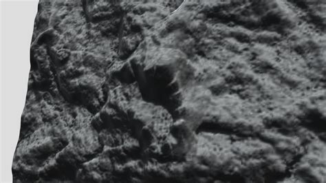 Potential Crinoids Fossils 3d Model By Marspics Belkessamamine A8606b4 Sketchfab