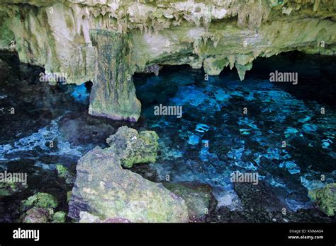 Cenotes Yucatan Banque De Photographies Et Dimages à Haute Résolution