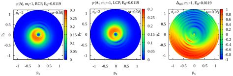 Photonics Free Full Text Dichroism Effects In The Ionization Of Polarized Atoms By Short