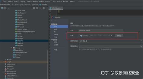 Java反序列化0：urldns的反序列化调试分析 知乎