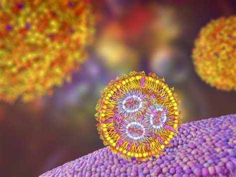 Analysis Of Lipid Nanoparticle Composition