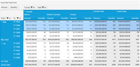 Cell Selection In Wpf Pivot Grid Control Syncfusion