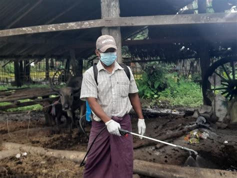 အုတ်တွင်းမြို့နယ်၌ တိရစ္ဆာန်ကူးစက်ရောဂါ ကာကွယ်ထိန်းချုပ်ခြင်းဆိုင်ရာ လ