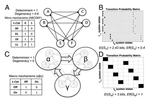 Spatial Causal Emergence Counteracting Degeneracy A A Degenerate