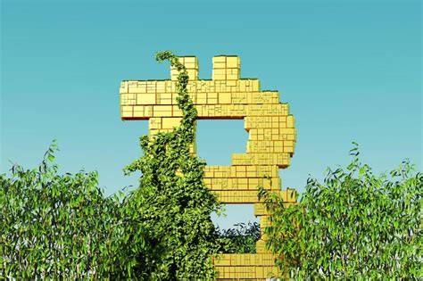 Kryptowährung Darfs Ein Bisschen Bitcoin Sein Ja Aber … Die Zeit