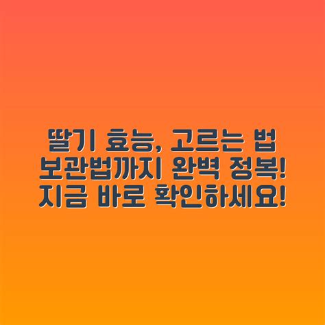 딸기 효능과 고르는 법 보관법 완전정복 지금 꼭 확인하세요