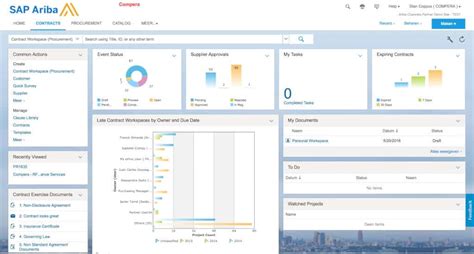 Ariba Contract Management System Ironple