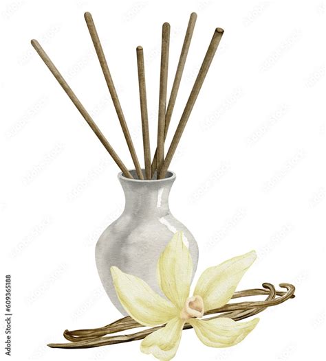 Diffuser With Vanilla Flowers And Sticks Hand Drawn Watercolor