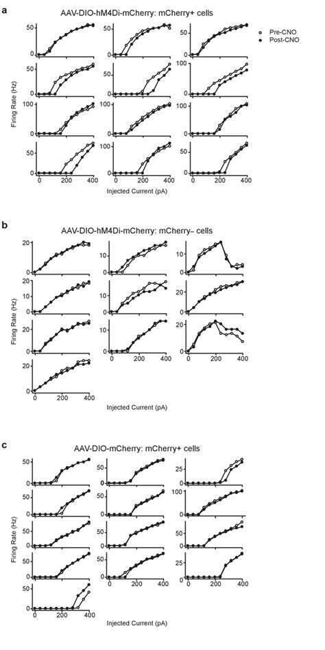 Figures And Data In Parvalbumin Positive Interneurons Mediate