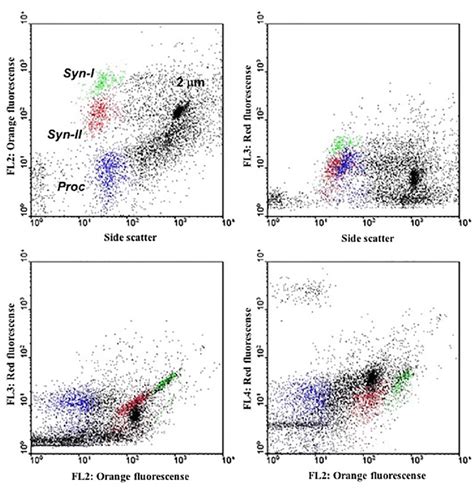 Flow Cytometric Signatures Of The Prochlorococcus Proc And