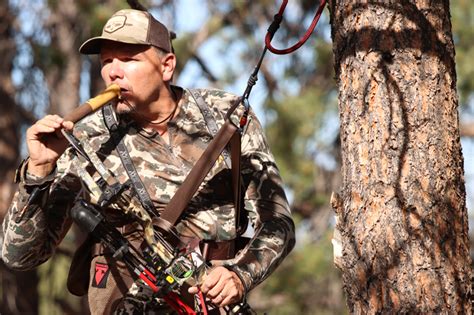 Look To Tree Saddle Hunting For Fall Success Bowhunter