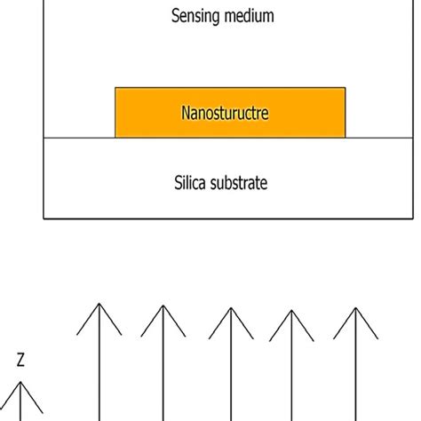 Schematic Representation Of The Simulation Model A 3d View 3 G Download Scientific Diagram