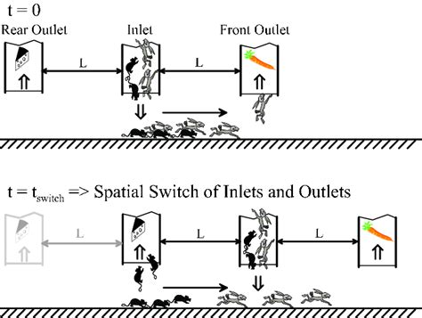 Simulated Moving Bed Principle Representation Download Scientific Diagram