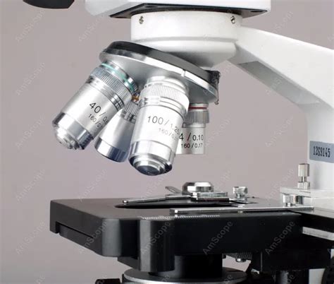 Binocular Compound Microscope Amscope Supplies 40x 2500x Led Digital Binocular Compound