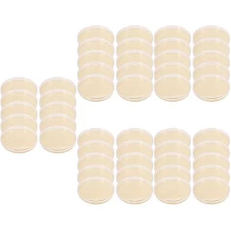 50 Pcs Lab Dish Laboratory Nutrient Agar Plate Experimental Supplies £