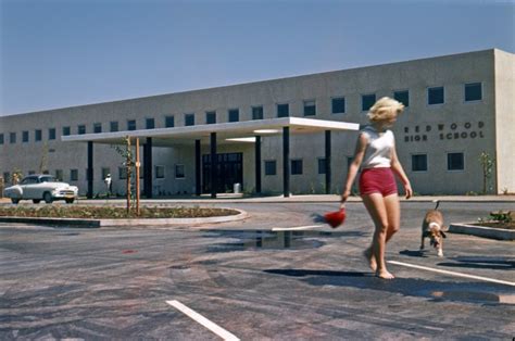 Redwood High 1958 Shorpy Old Photos