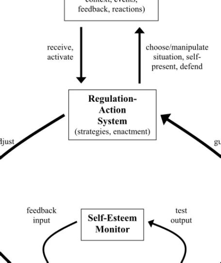Self Esteem And The Self Regulation Framework
