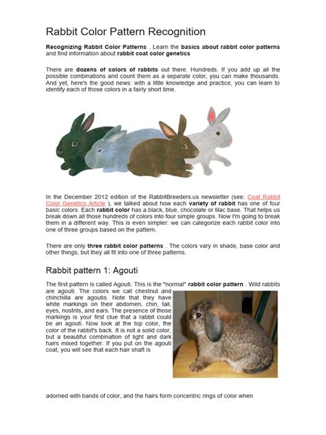 Rabbit Color Pattern Recognition Download Free Pdf Zygosity
