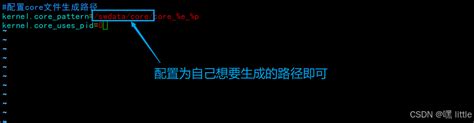 Linux环境抓取程序异常退出（崩溃）的堆栈信息（core Dump）linux 进程崩溃堆栈信息 Csdn博客