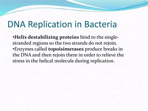 Dna Replication In Prokaryotes Pptx Chemistry Science