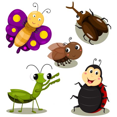 Ilustrador De Dibujos Animados De Insectos Lindos Vector Premium