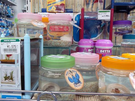 Sam 1388 Claudia Krause Flickr