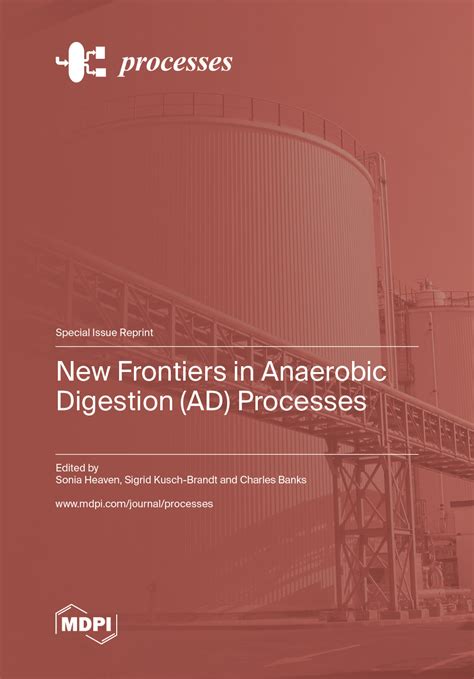 New Frontiers In Anaerobic Digestion Ad Processes Mdpi Books