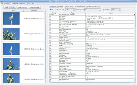 jexiftoolgui no linux veja como instalar esse utilitário via flatpak
