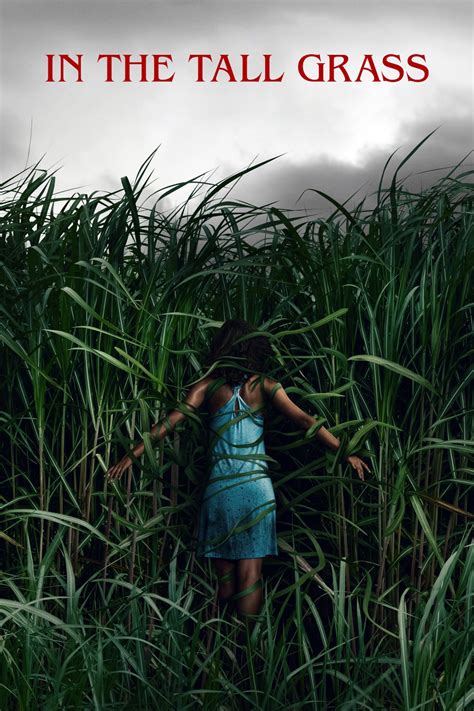 In The Tall Grass 2019
