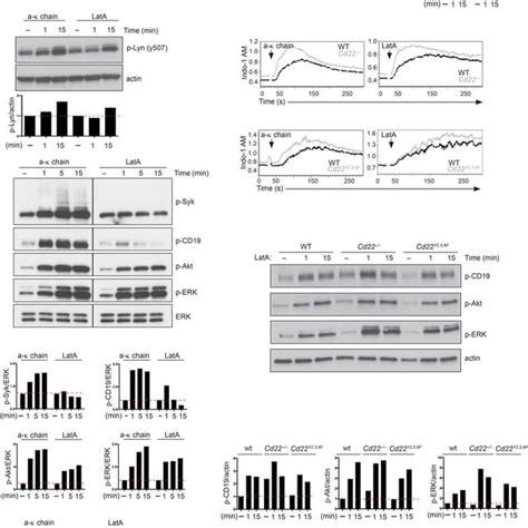 Mean Square Displacement Msd Plots And Analysis A Three Simulated Download Scientific