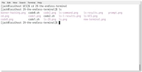 The Endless Terminal An Introduction To An Essential Tool By Jack Holland Understanding