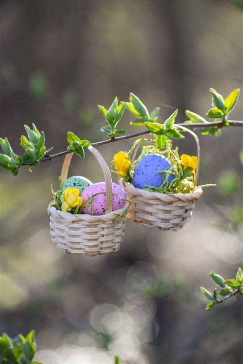 Moth Plushie Treehouse Creatures