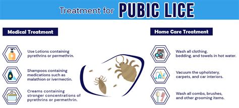 Cdc Treatment For Pubic Lice At Maria Couch Blog