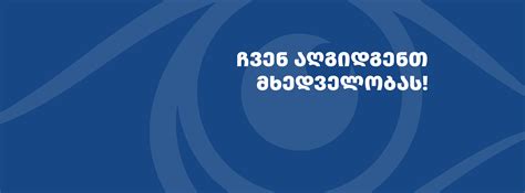 შემოსავლების სამსახური Revenue Service 📢 ფინანსთა სამინისტროს შემოსავლების სამსახური 2021 წელს