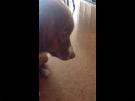 A Video For Auntie Trisha YouTube