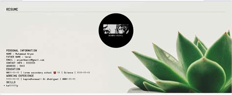 Muhammad Aryan On Linkedin Resumebuilder Webdevelopment Frontenddevelopment Techinnovation