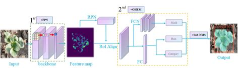 SciELO Brasil Boosted Mask R CNN Algorithm For Accurately Detecting Strawberry Plant Canopies