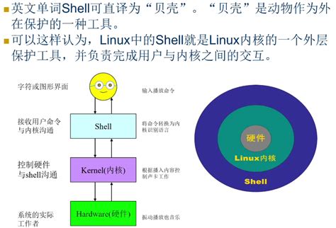 Linux：shell Csdn博客