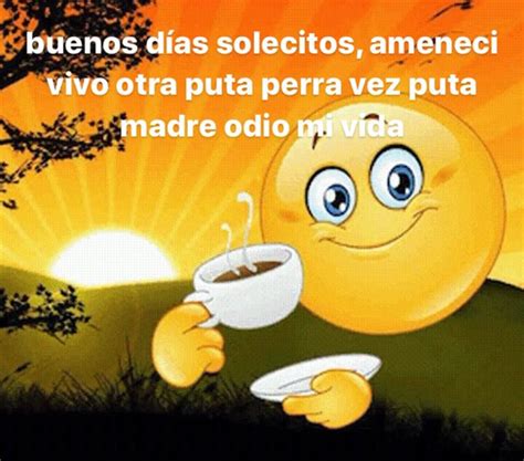 Buenos Días Solecitos Memes Estúpidos Imágenes Divertidas Imágenes