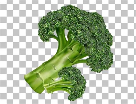 دانلود عکس Png، عکس دوربری شده گرافیک با طعم تربچه