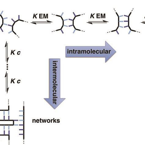 Recognition Directed Assembly Of A Duplex Between Two Complementary Download Scientific Diagram