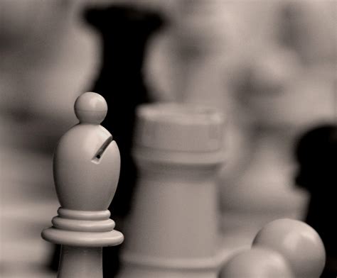 How Bishops Move And Capture In Chess Chess And Fun