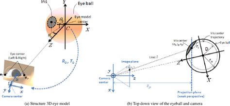 Figure 2 From Illumination Free Gaze Estimation Method For First Person Vision Wearable Device