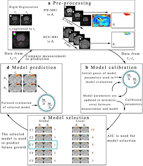 Schematic Of Experimental And Computational Methods Panel A Shows Our