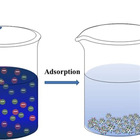 Schematic Adsorption Process Of St Af And Water Soluble Dye Molecules