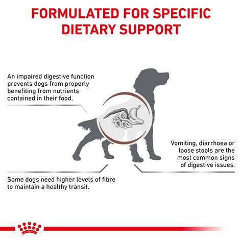 Royal Canin Gastrointestinal High Fibre Dry Dog Food | Royal Canin UK