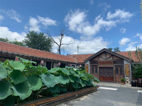 中国美丽乡村休闲旅游推荐：东营黄河口知青小镇行客旅游网