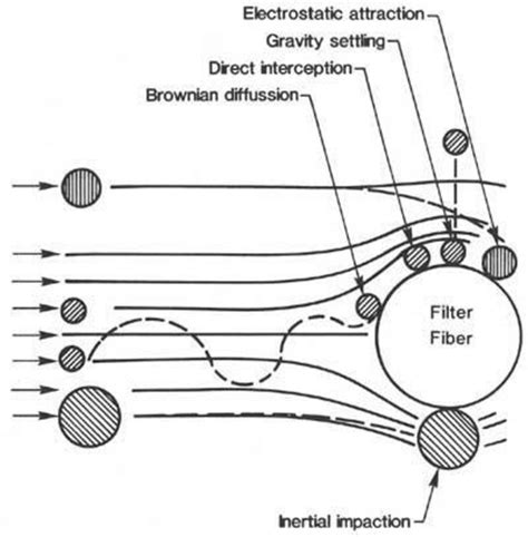 Filtration And Diffusion At Anna Beyers Blog